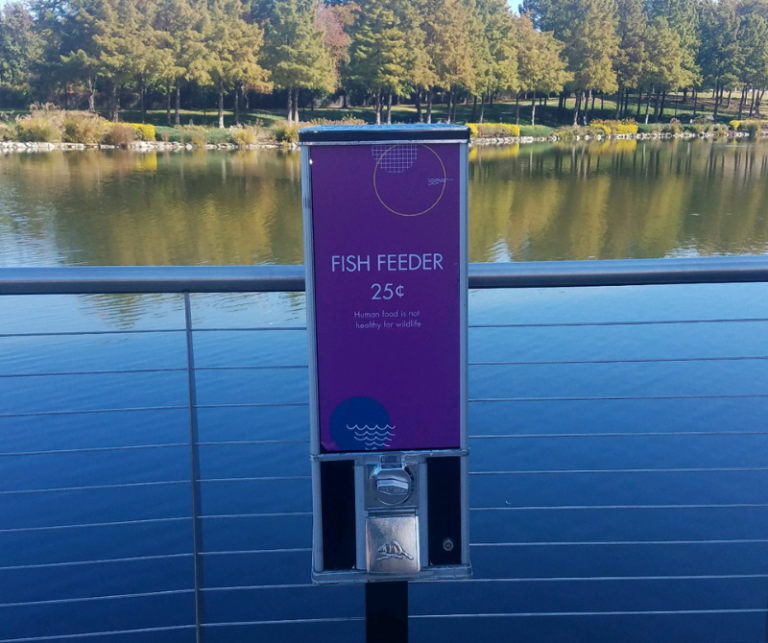 rio has several fish feeding stations located at the gazebo and along ...