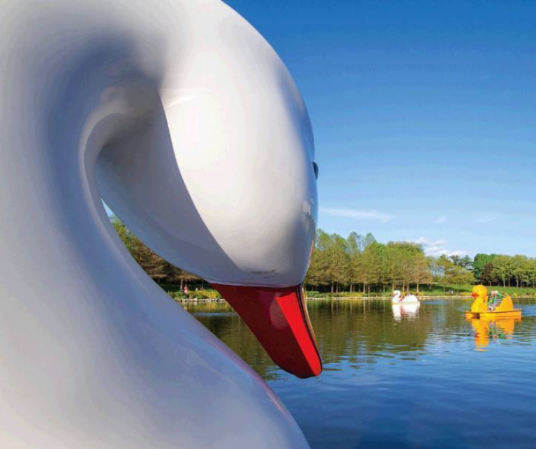 Lakefront Attractions | Rio Lakefront