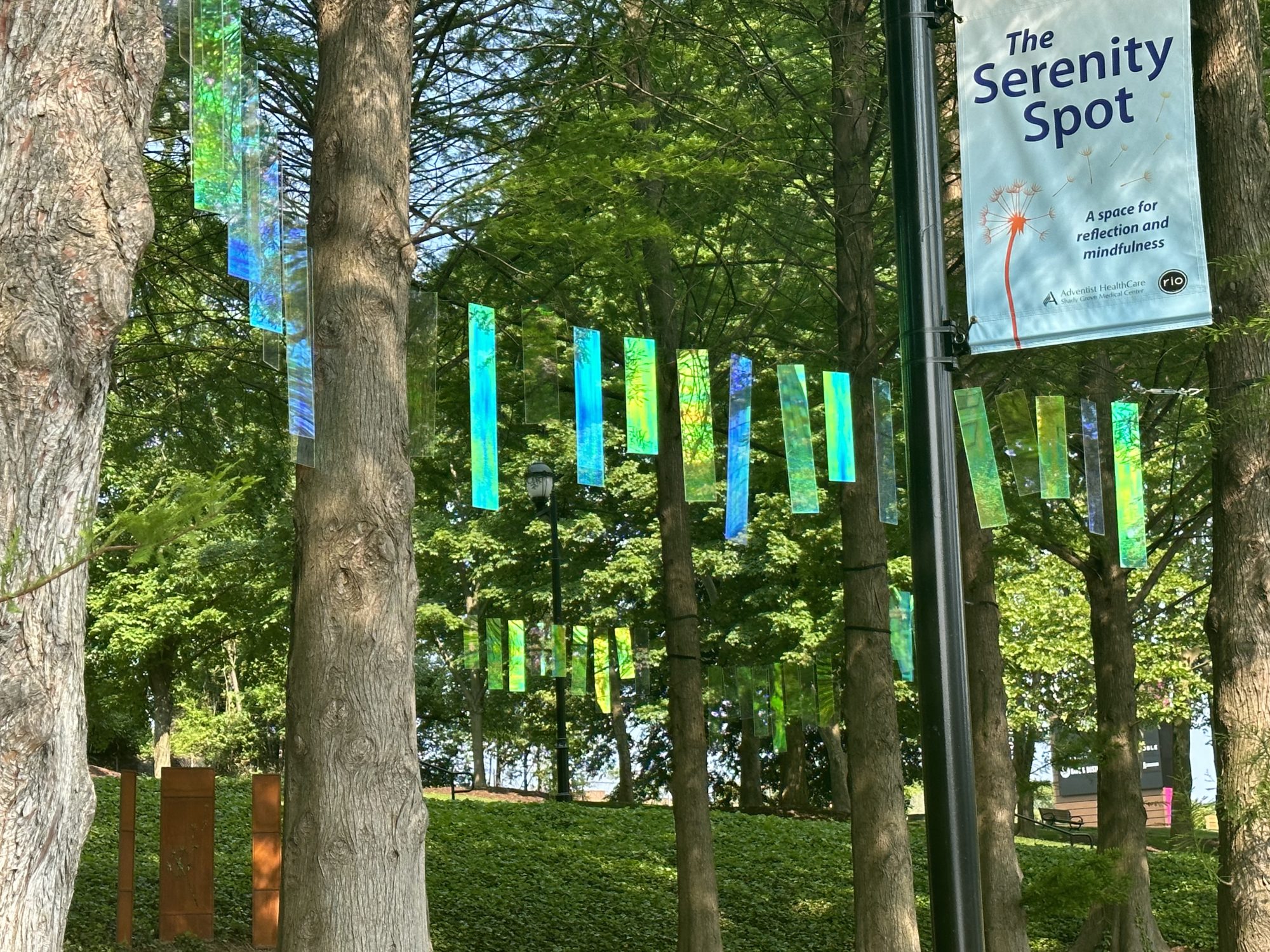 Events | Rio Lakefront